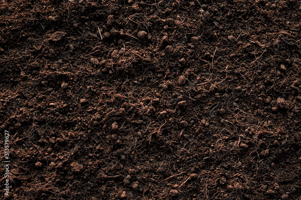 Soil texture background, Fertile loam soil suitable for planting. Stock ...