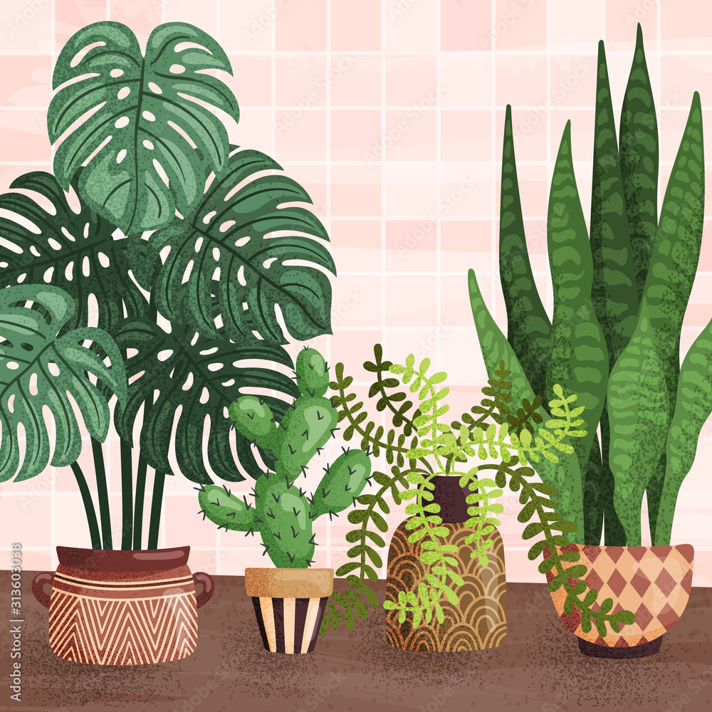 Interior illustration with indoor houseplants in flower pots. Monstera ...