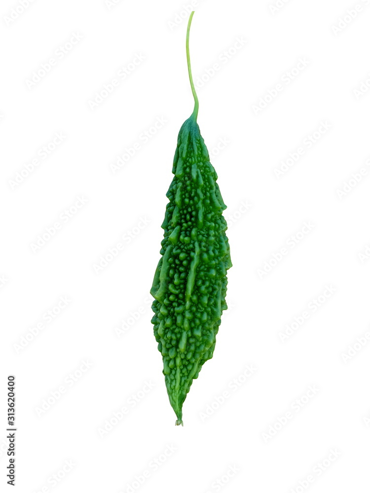 Balsam apple, Balsam pear, Bitter cucumber, Bitter gourd, Bitter melon ...