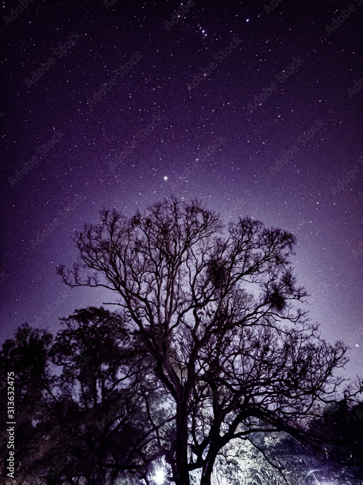 Stars Tumblr Photography