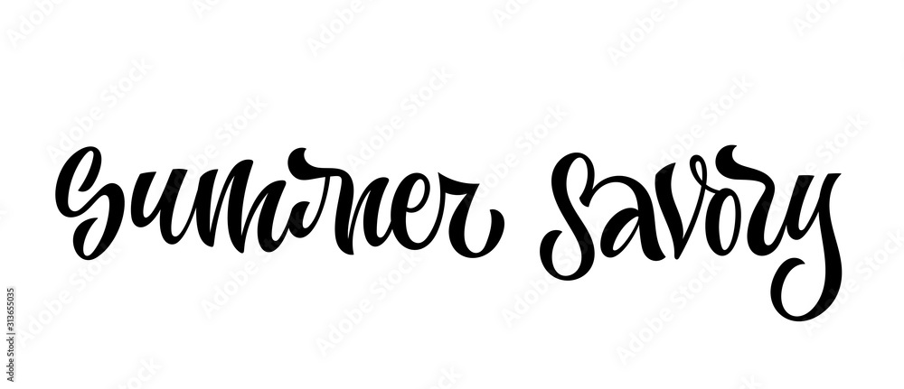 Summer savory - hand drawn spice label. Isolated calligraphy script ...