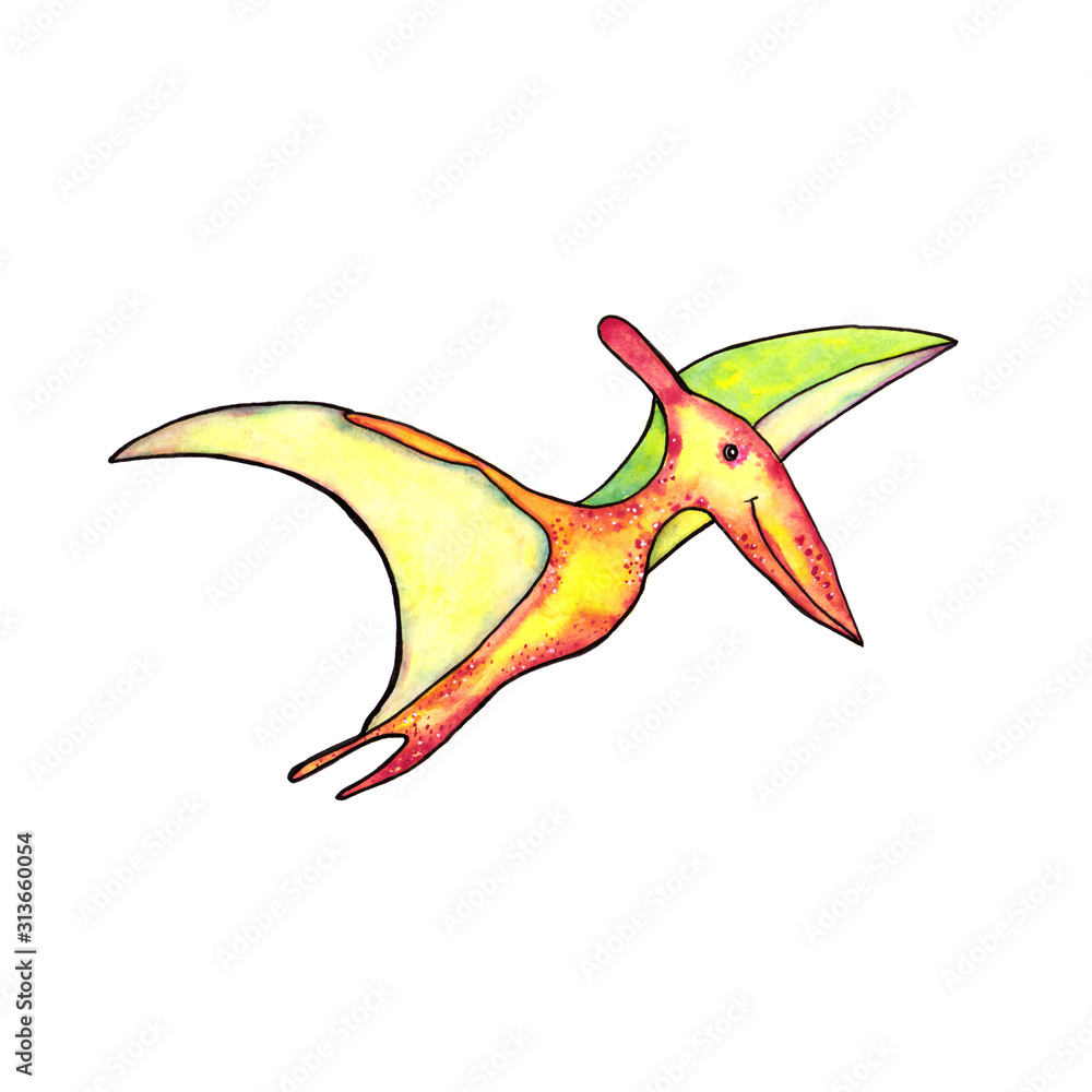 Hand drawn watercolor pterodactyl on white background. Flying dinosaur ...