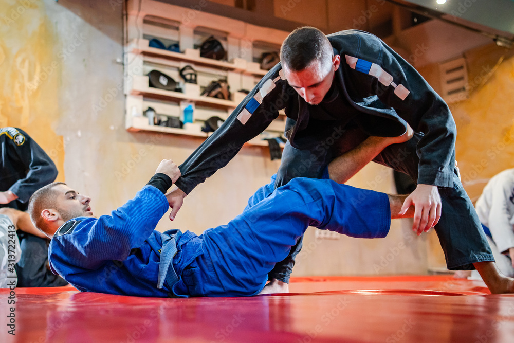 Two brazilian jiu jitsu BJJ athletes training practicing position ...