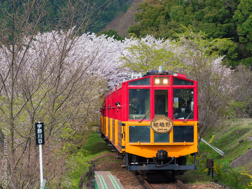 Kyoto, Japan - April 06, 2016 : Sakano Romantic Train, a sightseeing ...