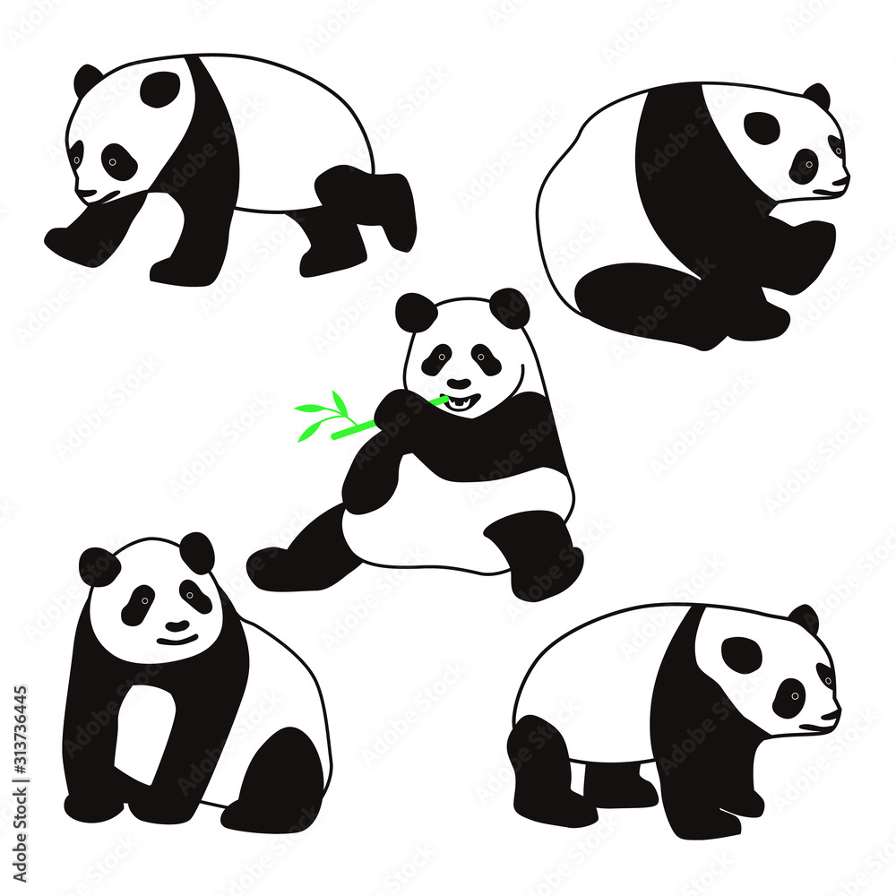 Scary Panda Bear