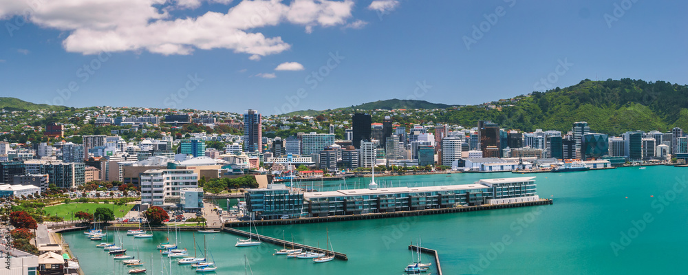 Wellington city, buildings and harbour seen on a beautiful summer's day ...