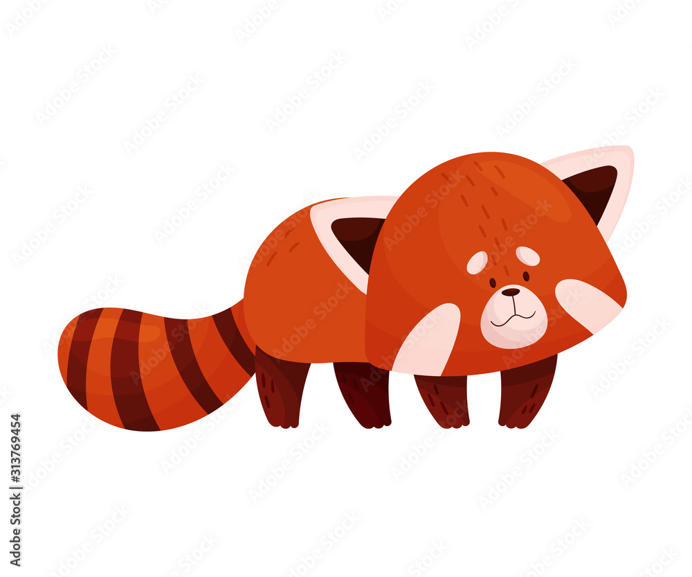 Cartoon Red Panda Character Standing on Paws Vector Illustration Stock ...