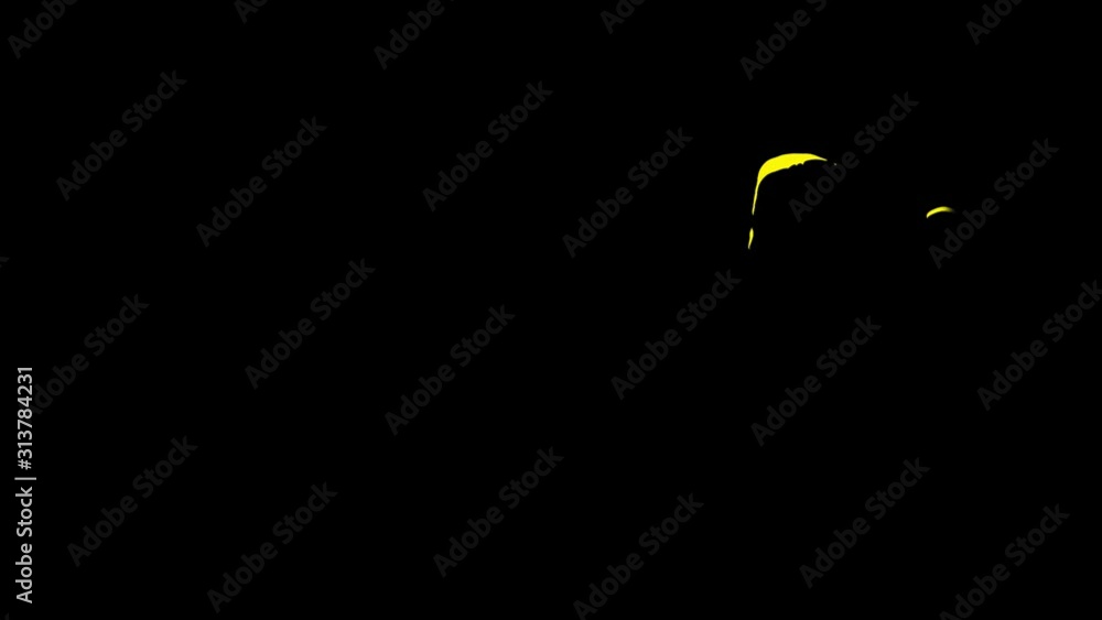 Motion element splash pack and swoosh fx done in a 2D style. Overlay ...