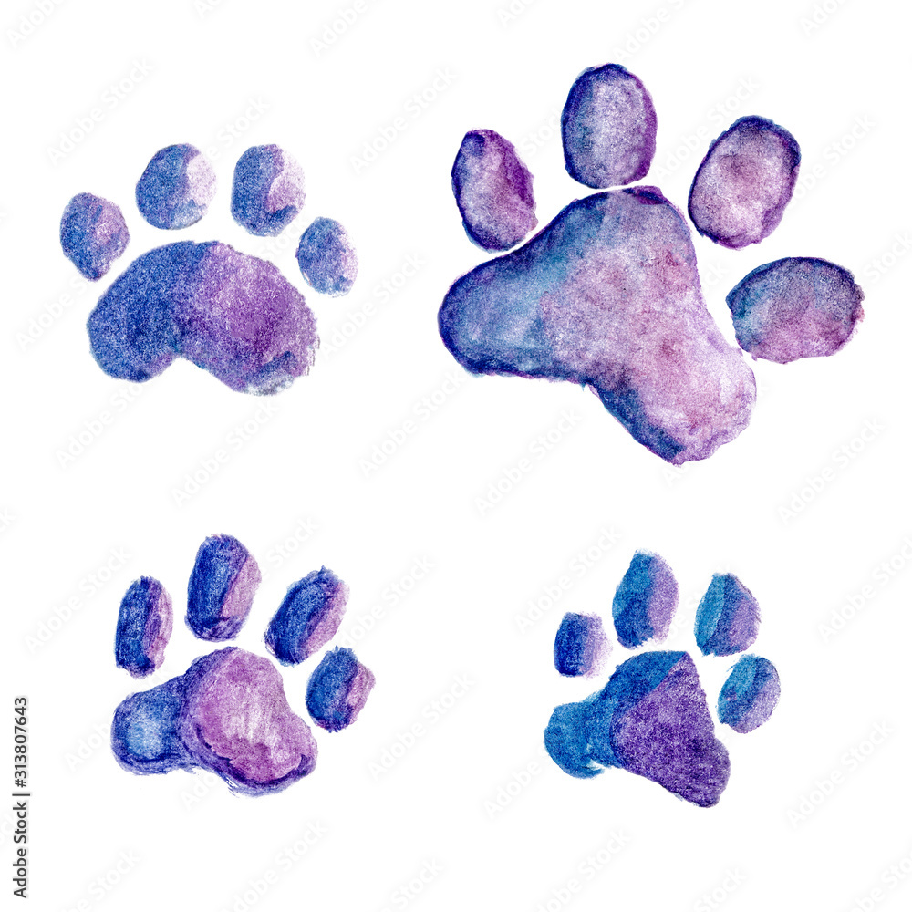 Watercolor Animal Paw Prints
