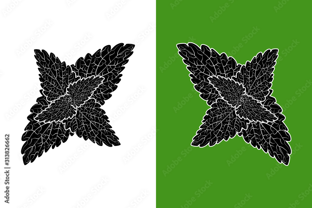 Catnip leaves black silhouette isolated on white and green background ...
