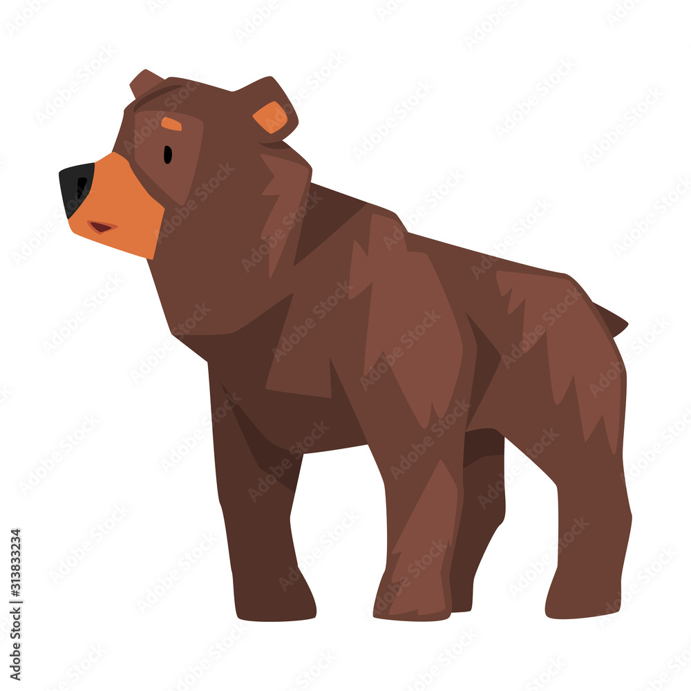 Grizzly Bear Side View