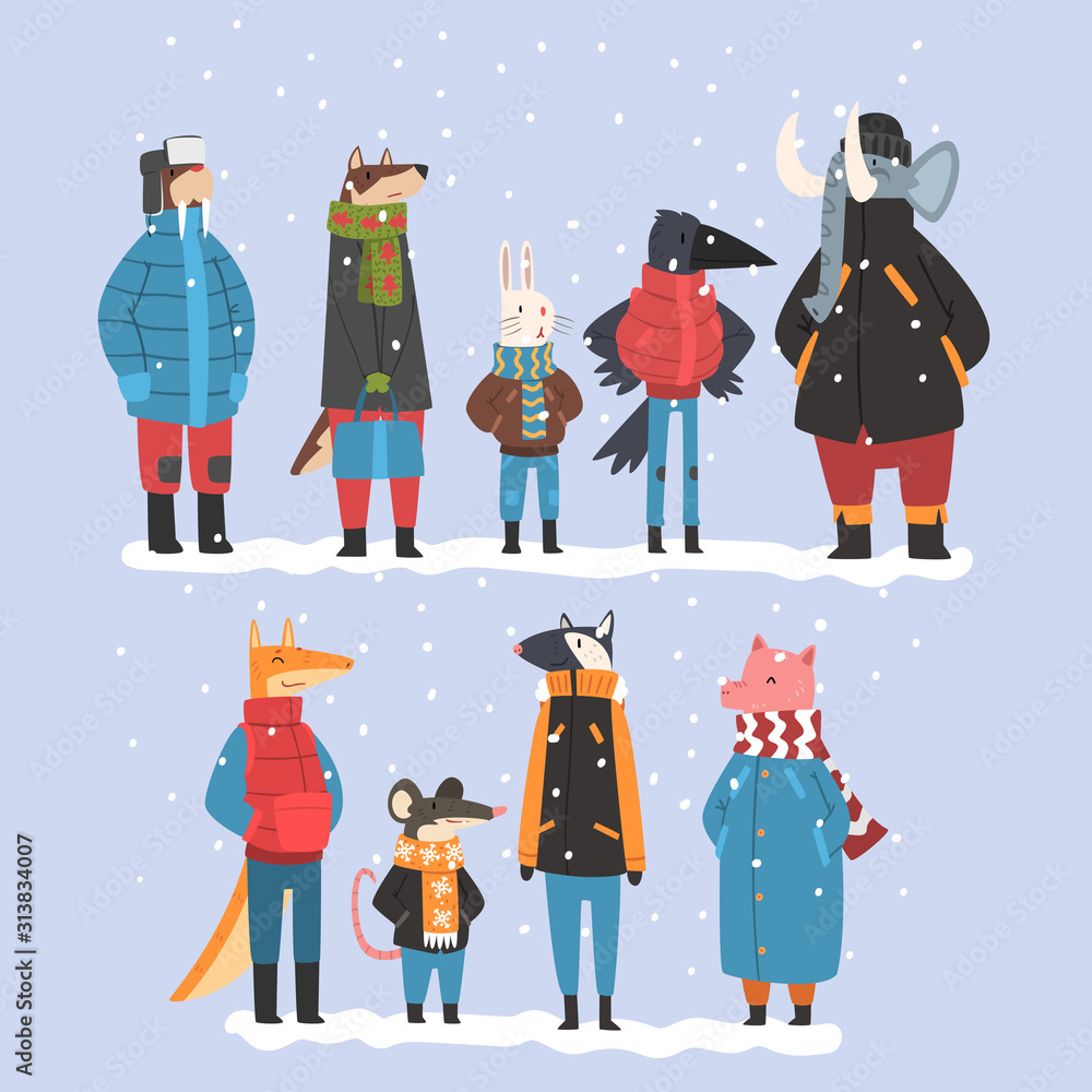 Animals Wearing Warm Clothes Collection, Raven, Fox, Seal, Elephant ...