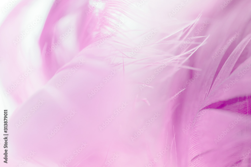 Image nature art of wings bird,Soft pastel detail of design,chicken ...