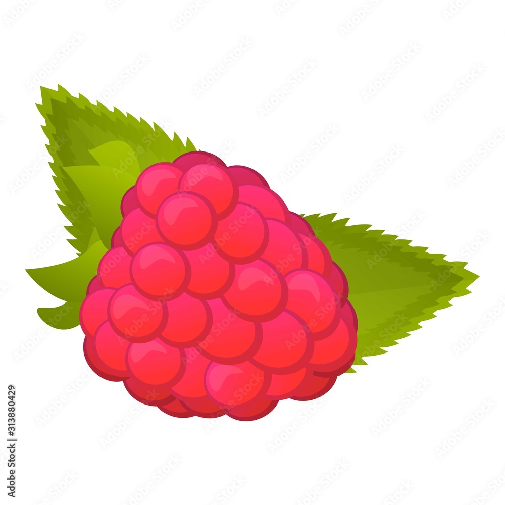 Cartoon Raspberry