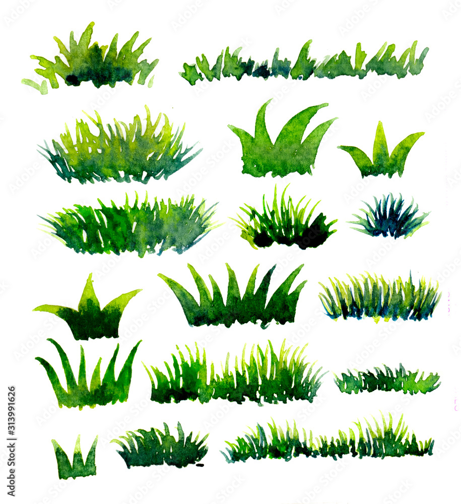 Collection plant shrub symbols of Landscape architect for decorate ...