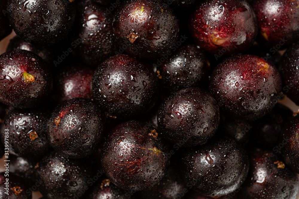Fruit Detail. Jaboticaba or Jabuticaba is the native Brazilian grape ...