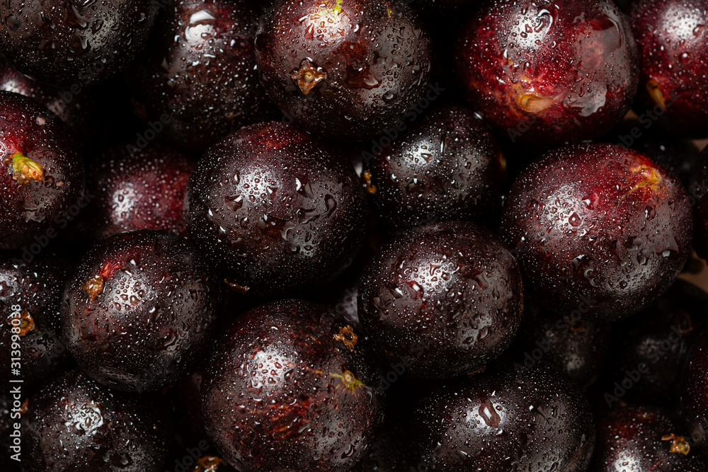 Fruit Detail. Jaboticaba or Jabuticaba is the native Brazilian grape ...