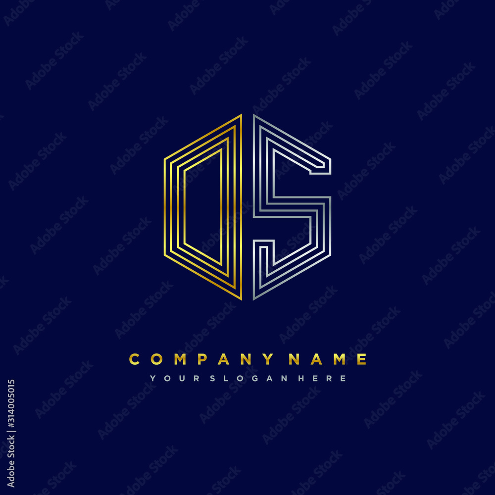 Initial letter DS, minimalist line art monogram hexagon logo, gold and ...