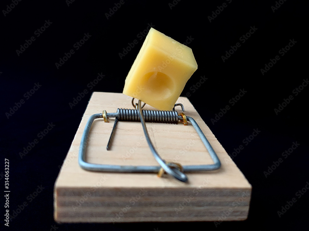Free cheese in a mousetrap on a black background. Wooden trap with bait ...