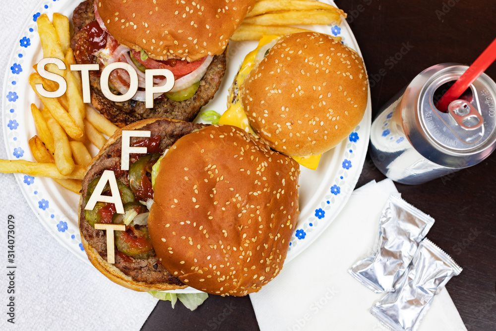 Say No To Junk Food. Juicy burger and fries with anti fast food slogan ...