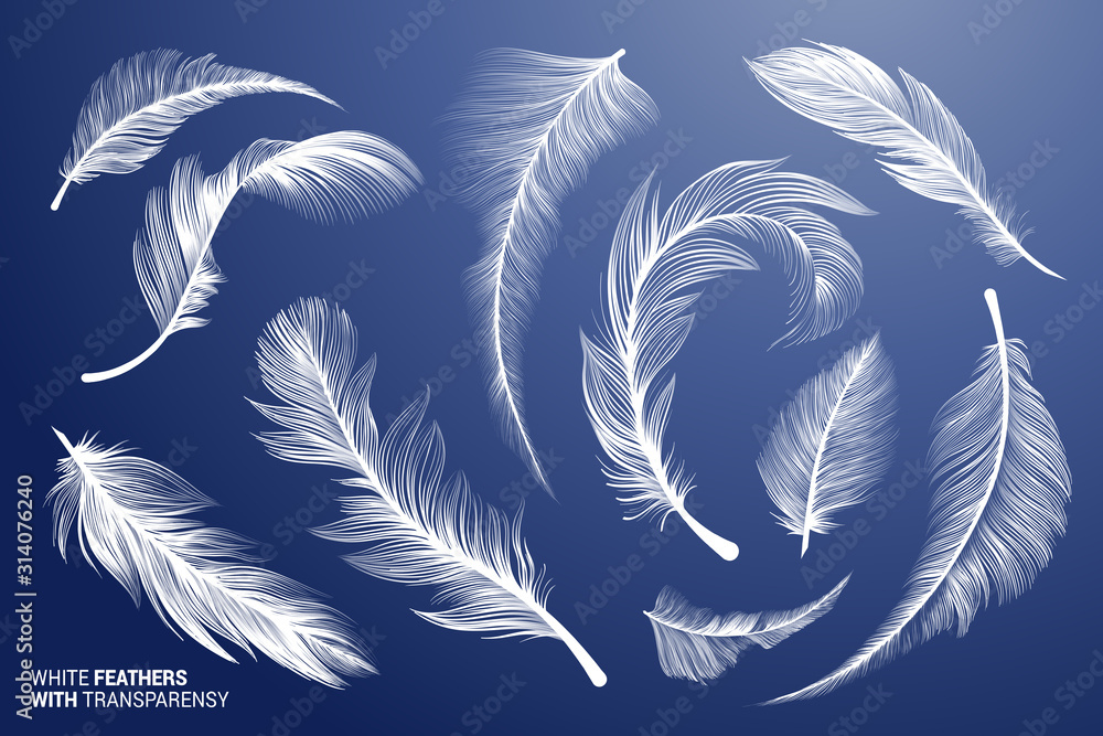 White Realistic Bird Feathers. Vector Flying Feathers Set with ...