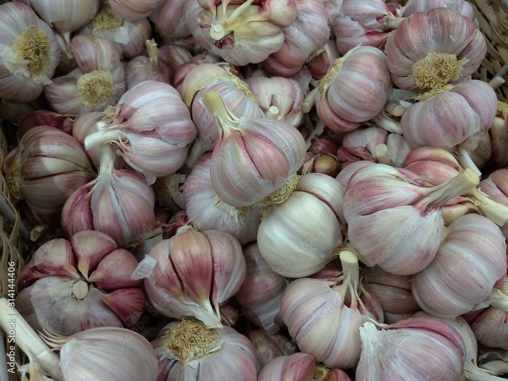 Purple Garlic Texture Background. Fresh garlic on the market table ...