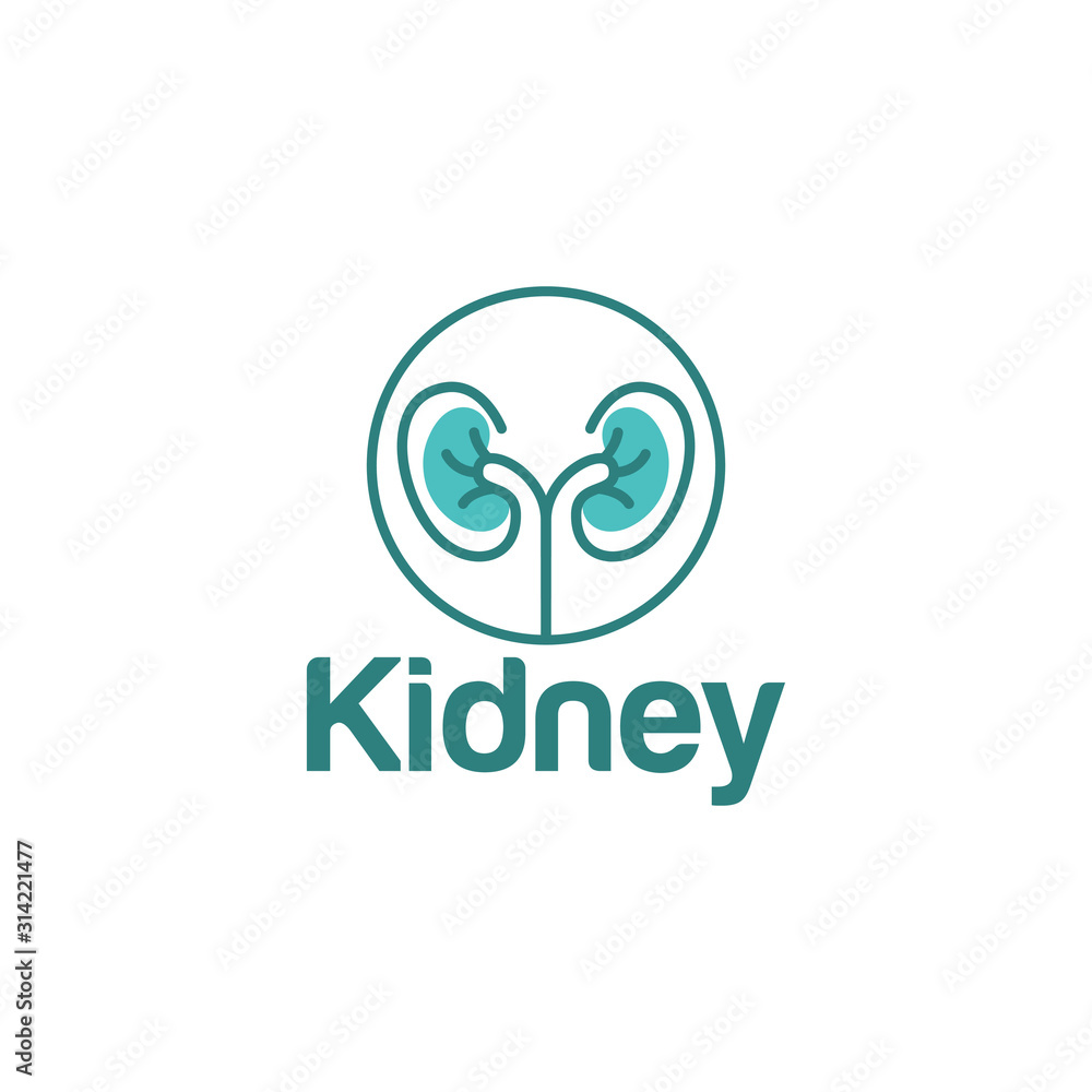 Kidney Logo Template Urology Logo Stock Vector Stock Vector | Adobe Stock