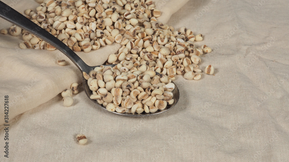 Job's Tears, also known as adlay and coix on calico background. Popular ...