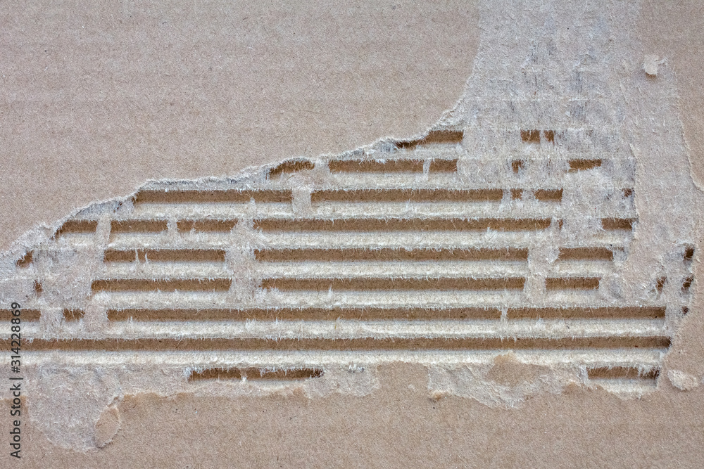 Tattered corrugated cardboard. Torn Cardboard. Texture of cardboard ...