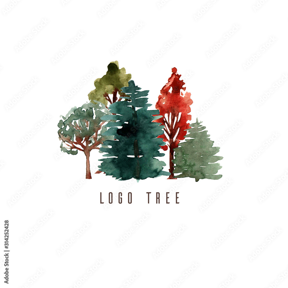 Watercolor tree collection for label, logo. Watercolor set of plants ...