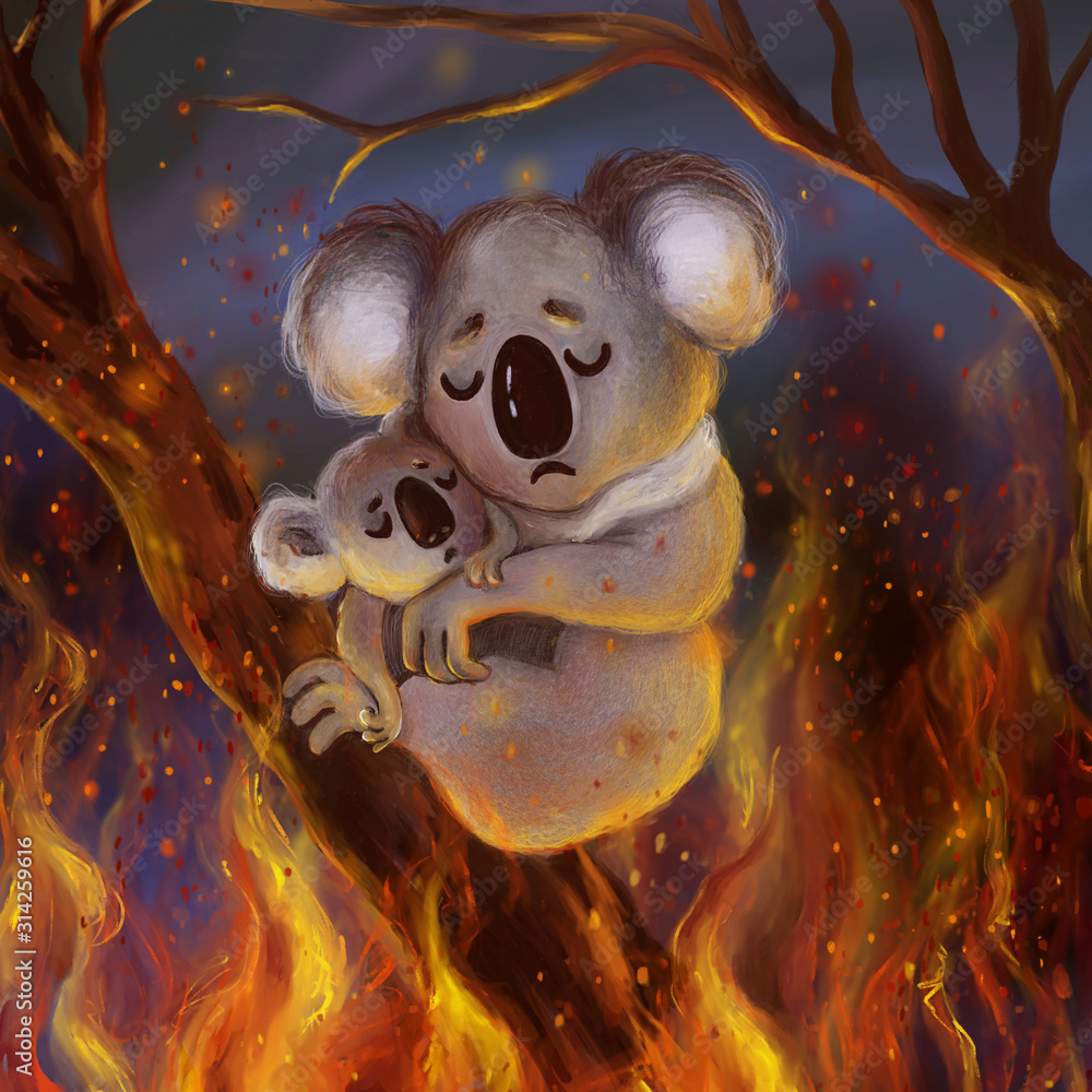 Cute scared koala with a baby koala trying to escape from the burning ...