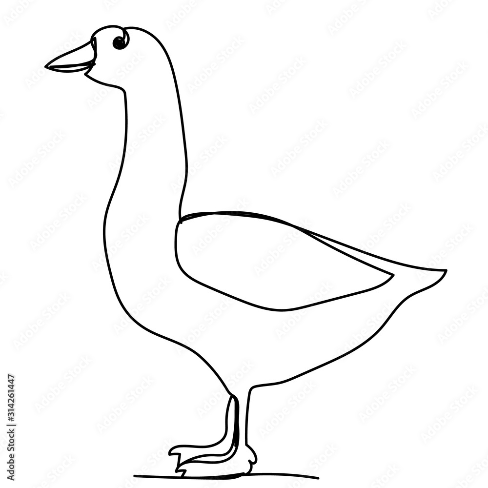 vector, isolated, continuous line drawing goose pet Stock Vector ...