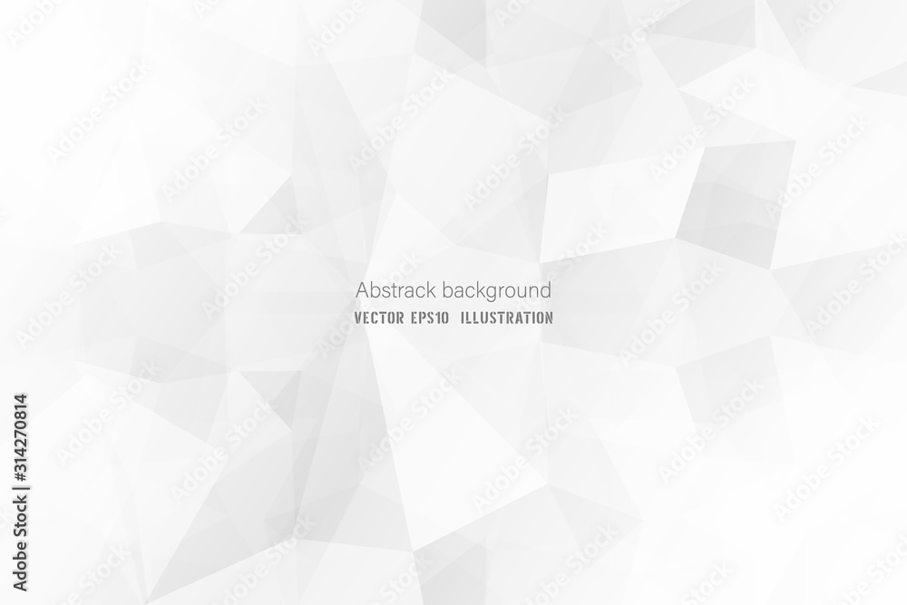Abstract geometric white and gray polygon or lowpoly vector technology ...
