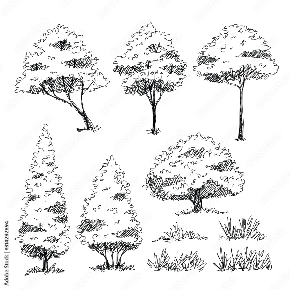 Tree Sketch 07 Stock Vector | Adobe Stock