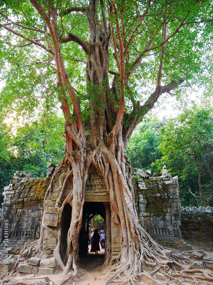 Ta Som Temple