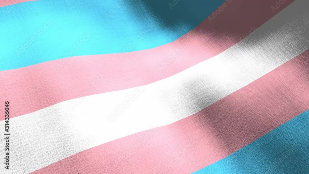 Transgender pride rainbow waving flag. Seamless cgi animation highly ...