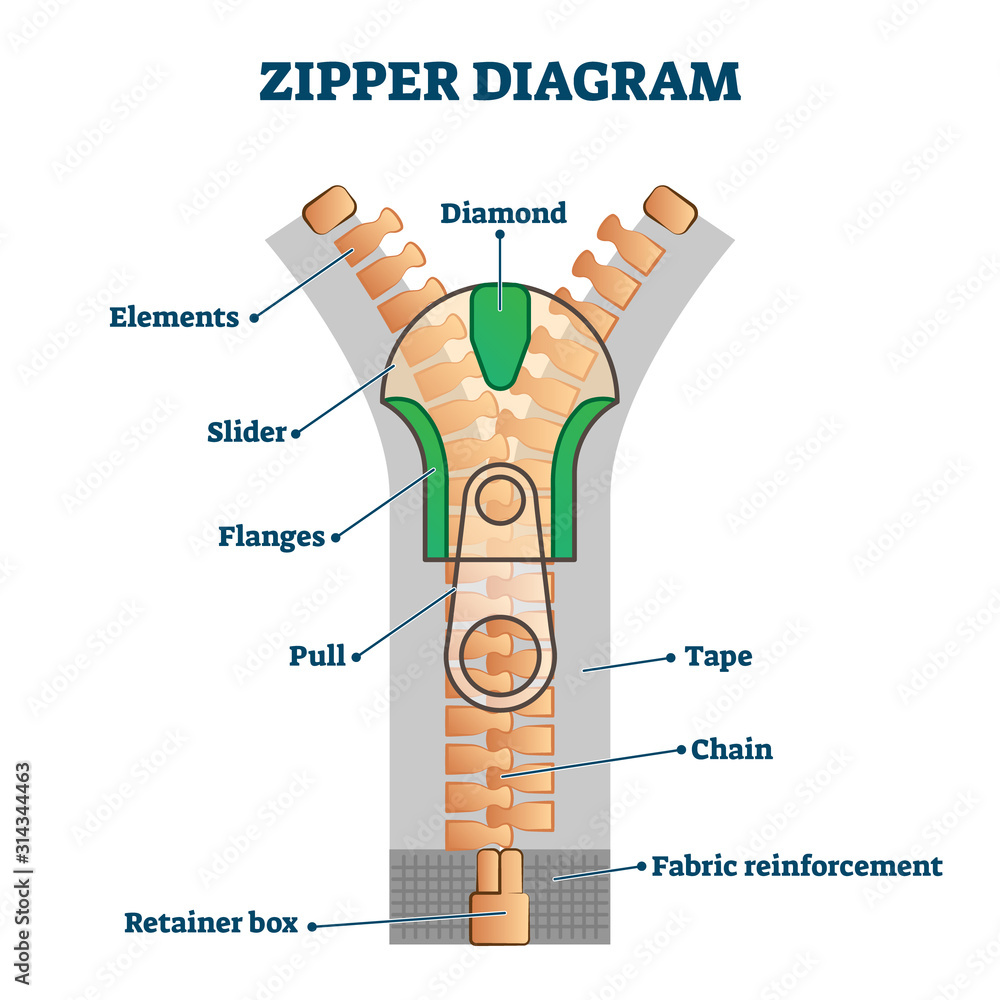 Zipper diagram vector illustration. Detailed educational scheme with ...
