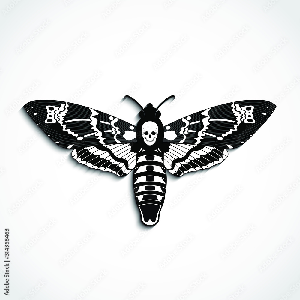 Deaths head moth vector illustration with skull Stock Vector | Adobe Stock