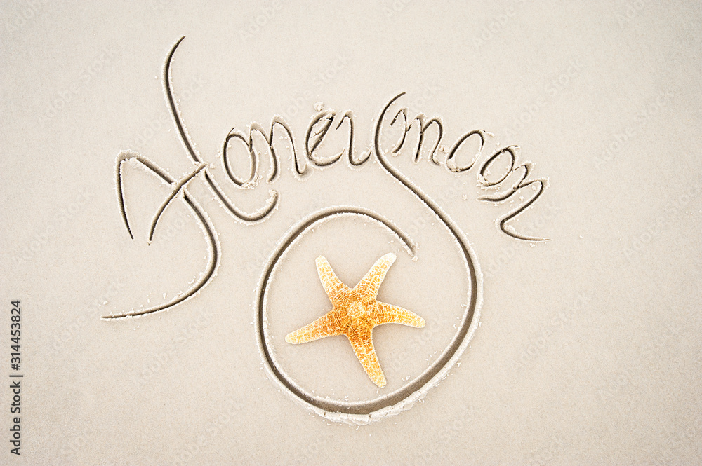 Romantic island honeymoon message handwritten in calligraphy script ...