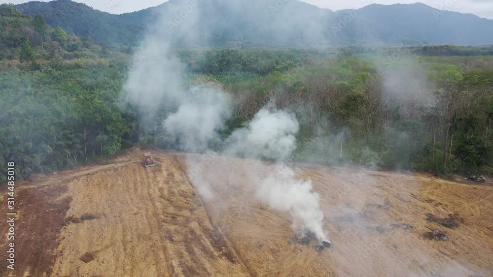 Deforestation. Land cleared and burned to make way for palm oil ...