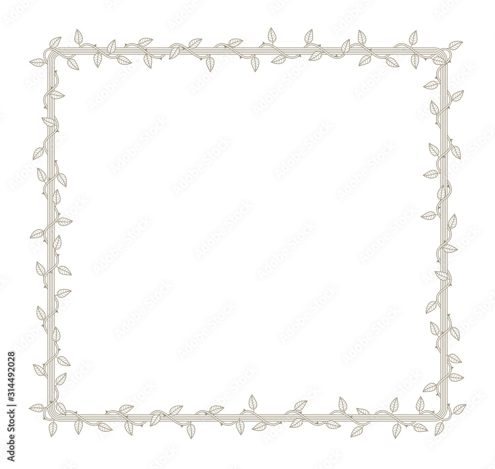 Vector square frame overgrown with plant with thorns and leaves. White ...