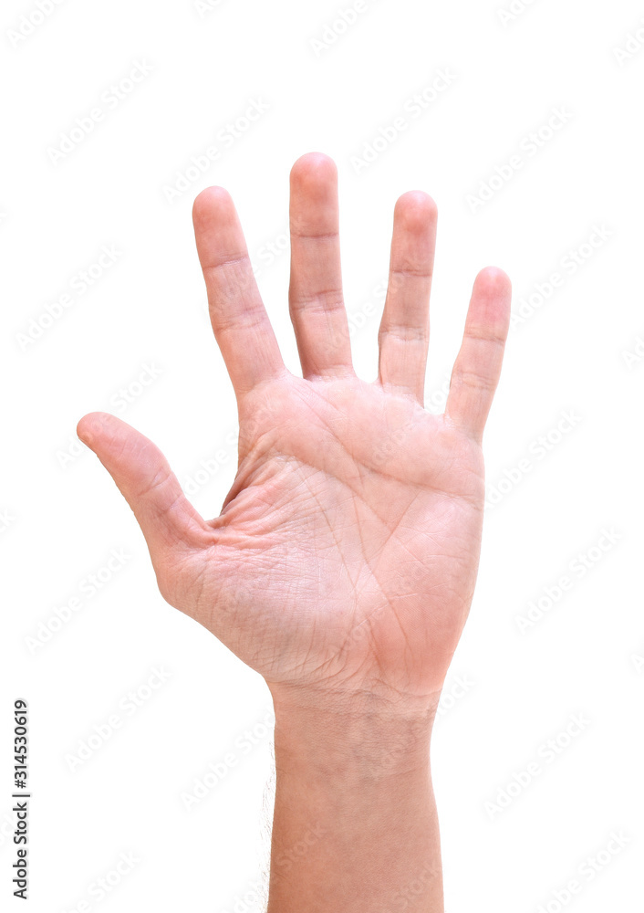 hand palm isolated on white background Stock Photo | Adobe Stock