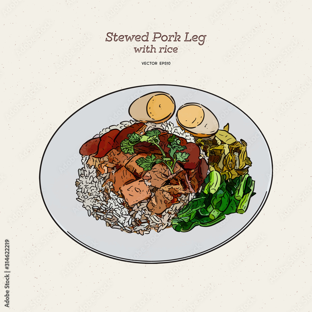 Stewed pork leg rice with egg in Brown sweet sauce, hand draw sketch ...
