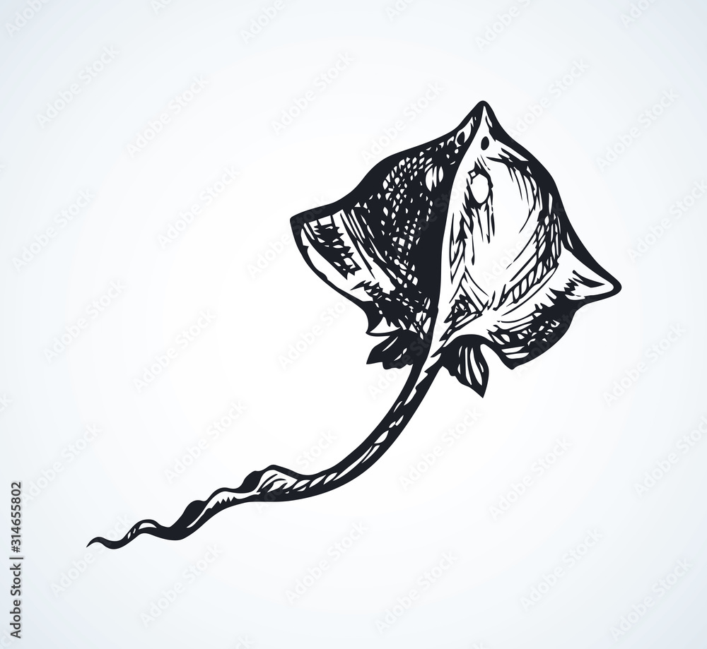 Stingray. Vector drawing Stock Vector | Adobe Stock