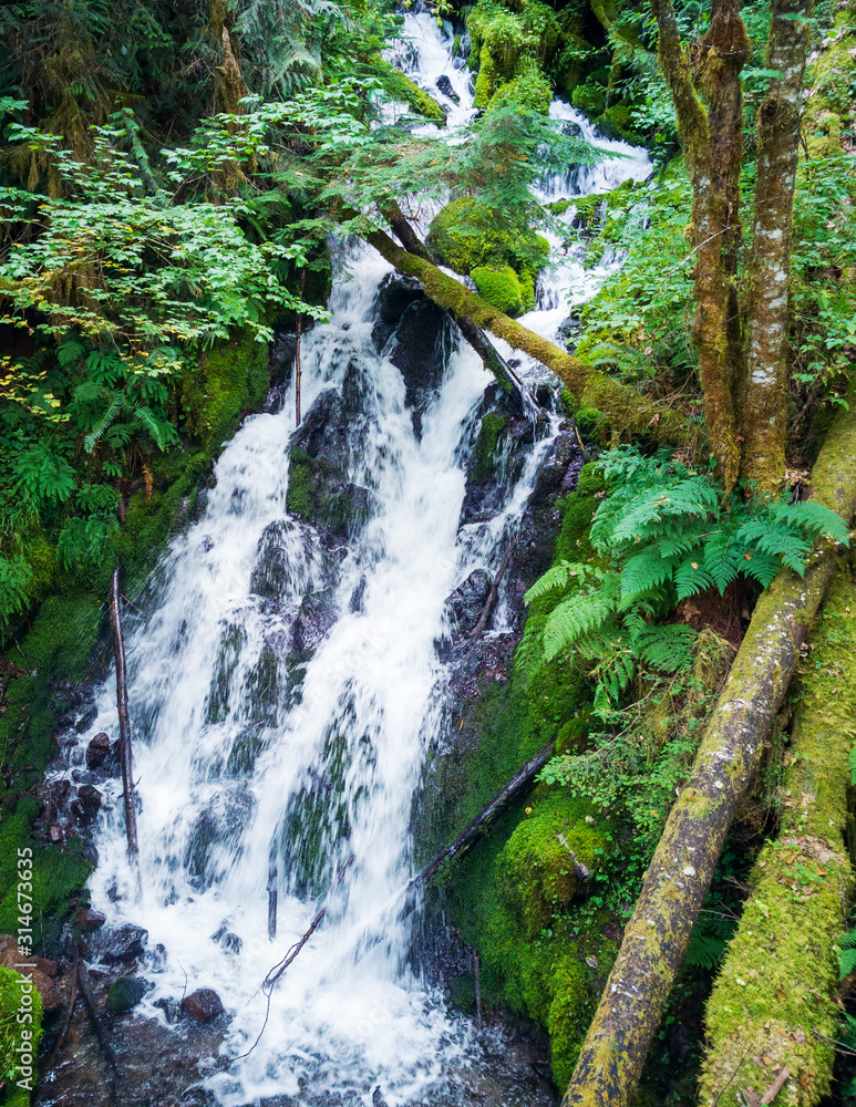 Pretty Little Creek Falls with branches and bright green leaves and ...