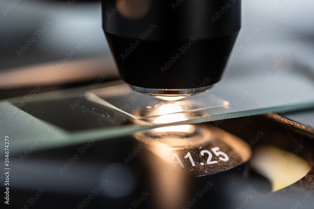 Macro photo of microscope and slide Stock Photo | Adobe Stock