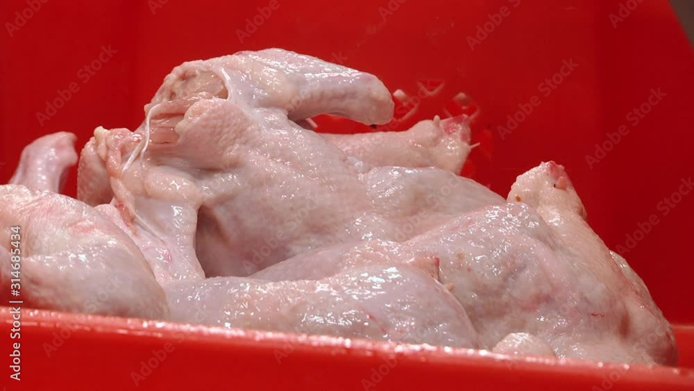 Chicken carcasses are in the drawer at the meat factory. Meat ...