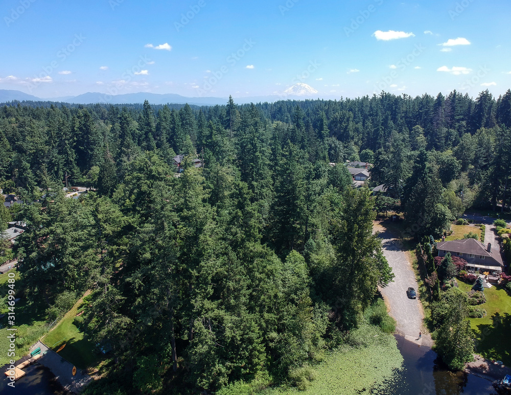 Tranquil Shady Lake on a bright clear day in summertime with trees ...
