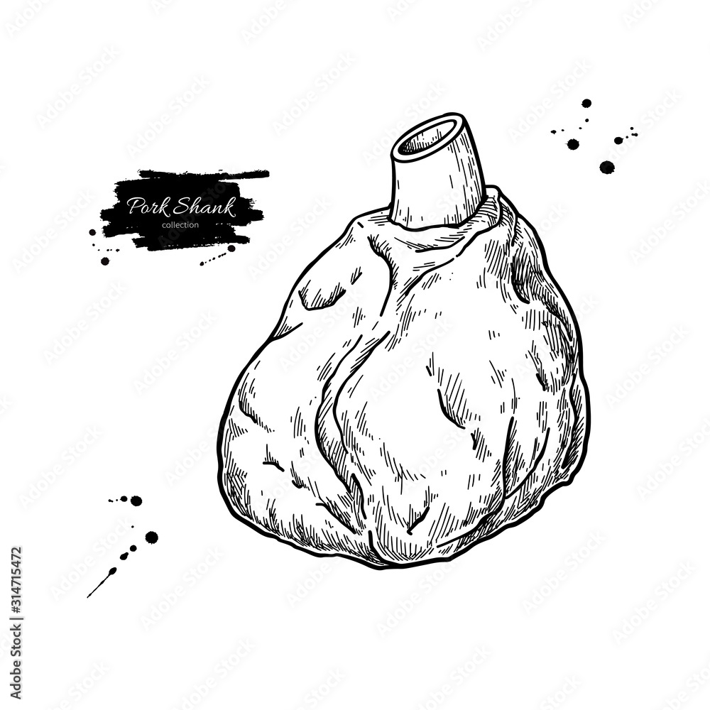 Pork shank vector drawing. Pig leg meat hand drawn sketch. Engraved ...