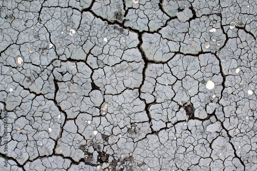 Dry cracked earth top view. Drought season on earth. Shells and dry ...